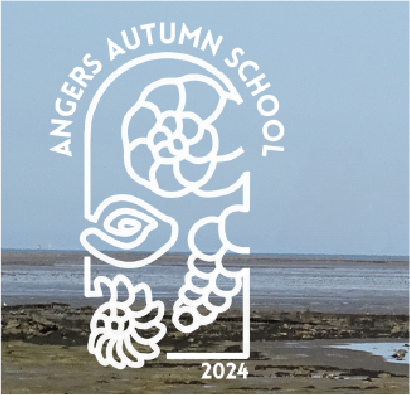 Index - University of Angers