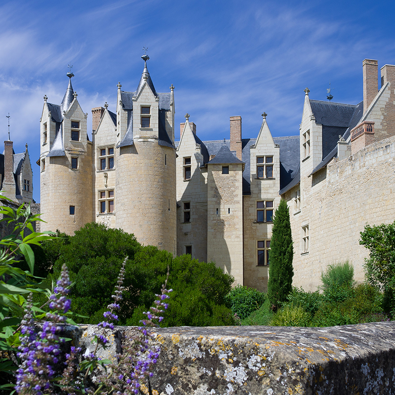 ESTHUA, Institut national de tourisme - Innto France - Université Angers
