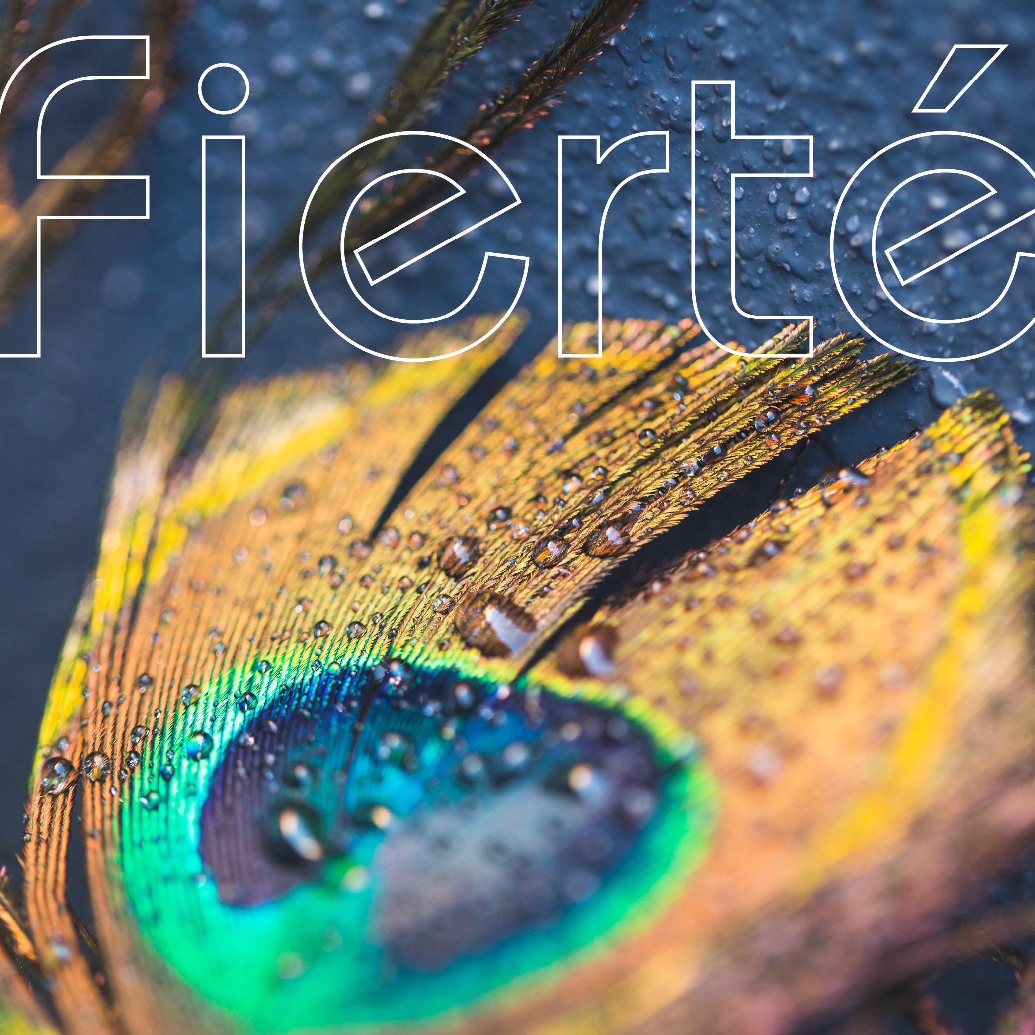 Polytech Angers - Université Angers