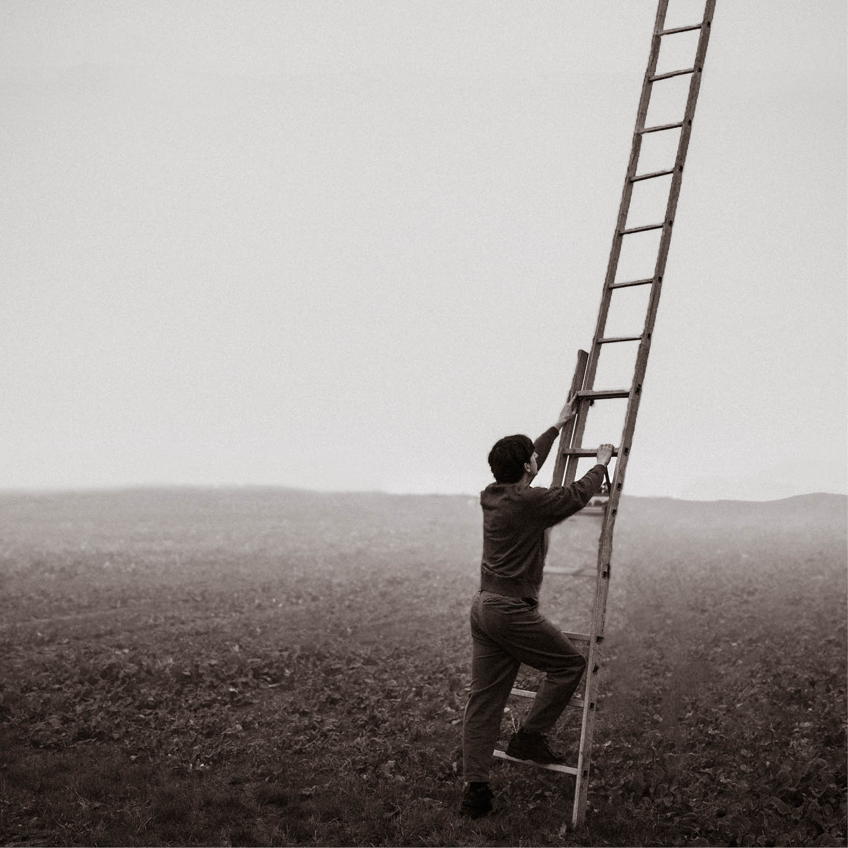 Polytech Angers - Université Angers