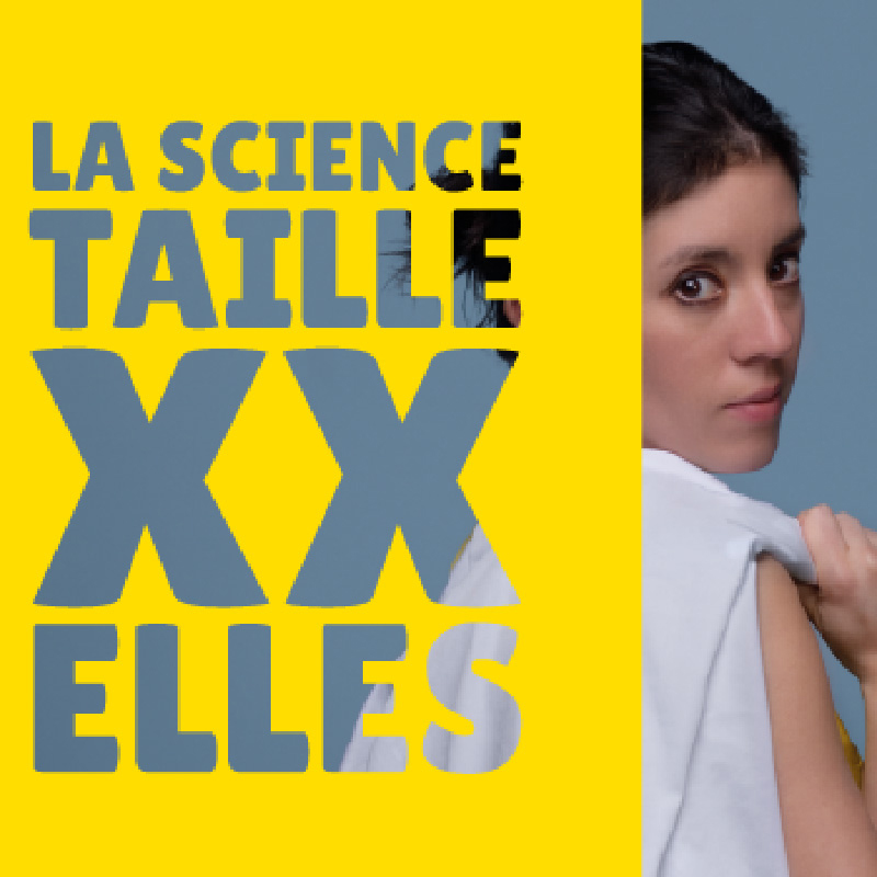 Polytech Angers - Université Angers