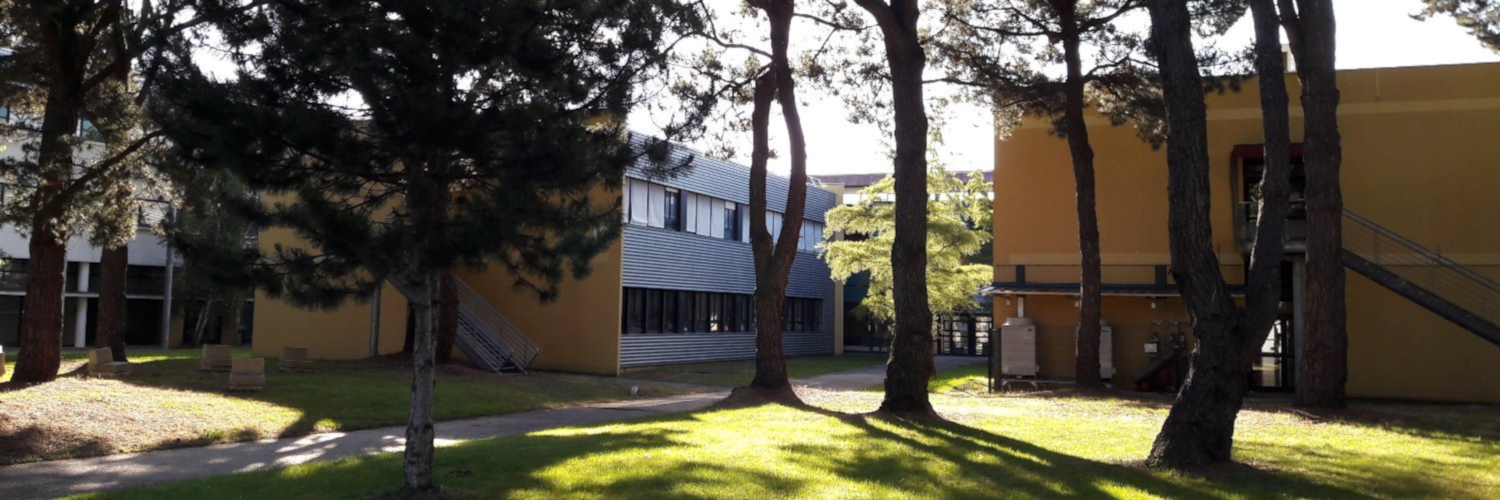 Institut des Sciences et Technologies Moléculaires d'Angers | Moltech ...